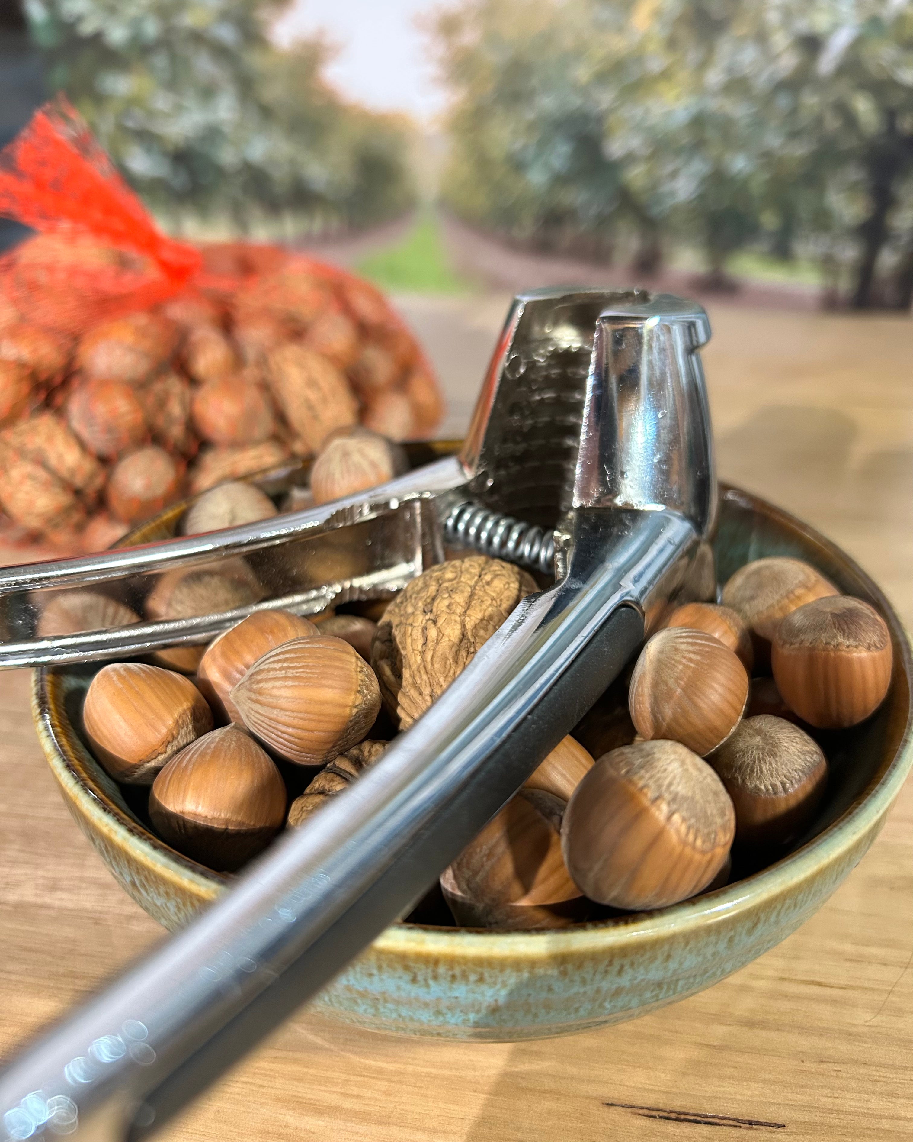 Nuts in shell & Nut Cracker – Hazelbrae Hazelnuts